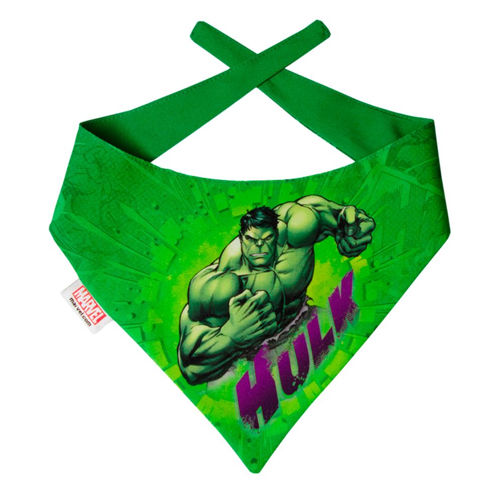 Bandana Pet Hulk M/G - Regina - supernova