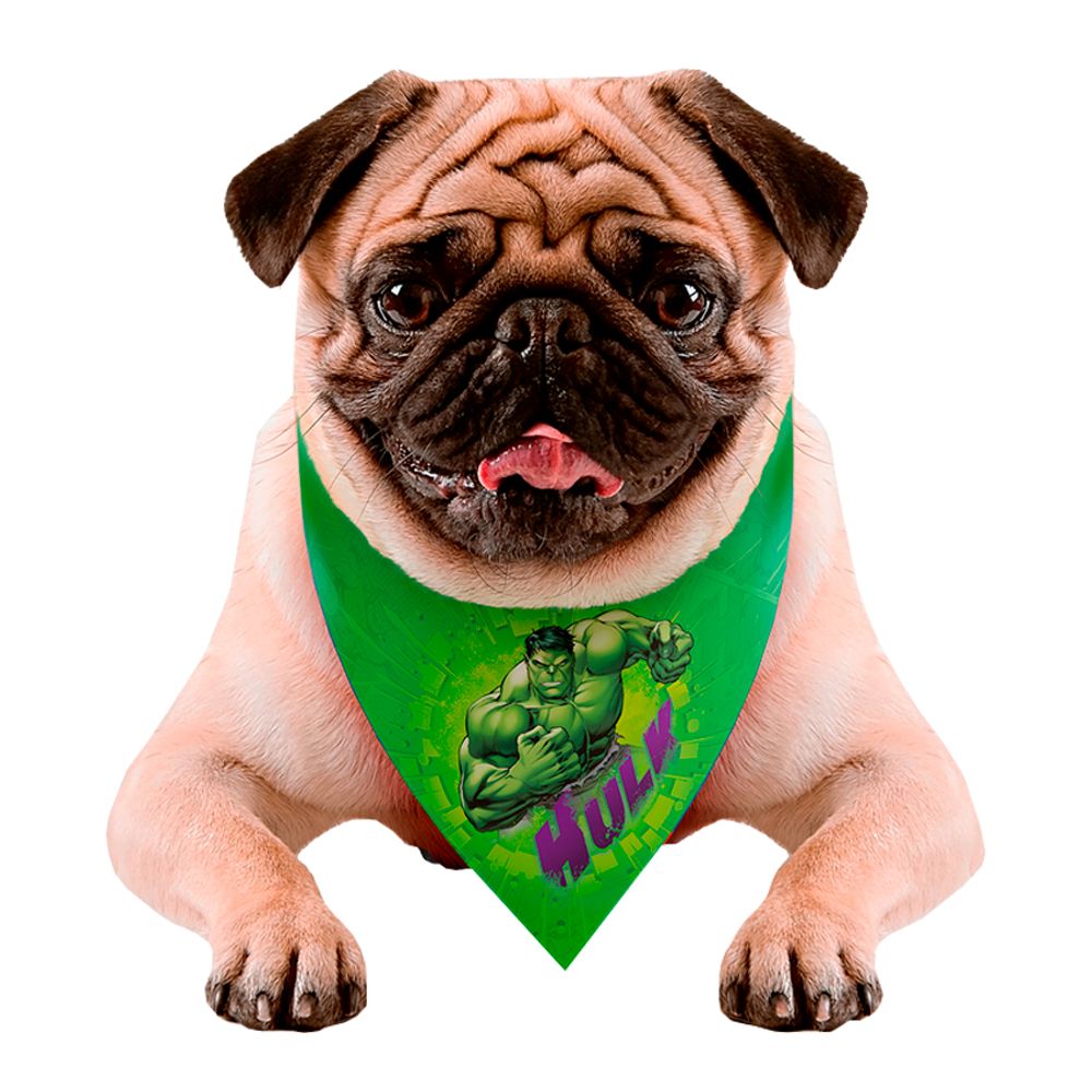 Bandana Pet Hulk M/G - Regina - supernova